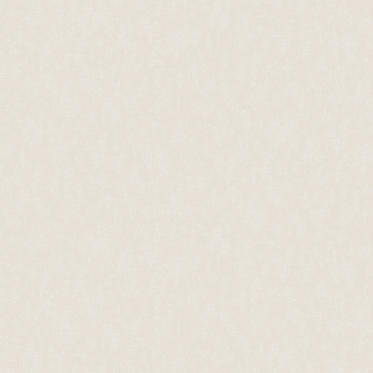 Обои ERISMANN Basic 60588-05 купить в Томске